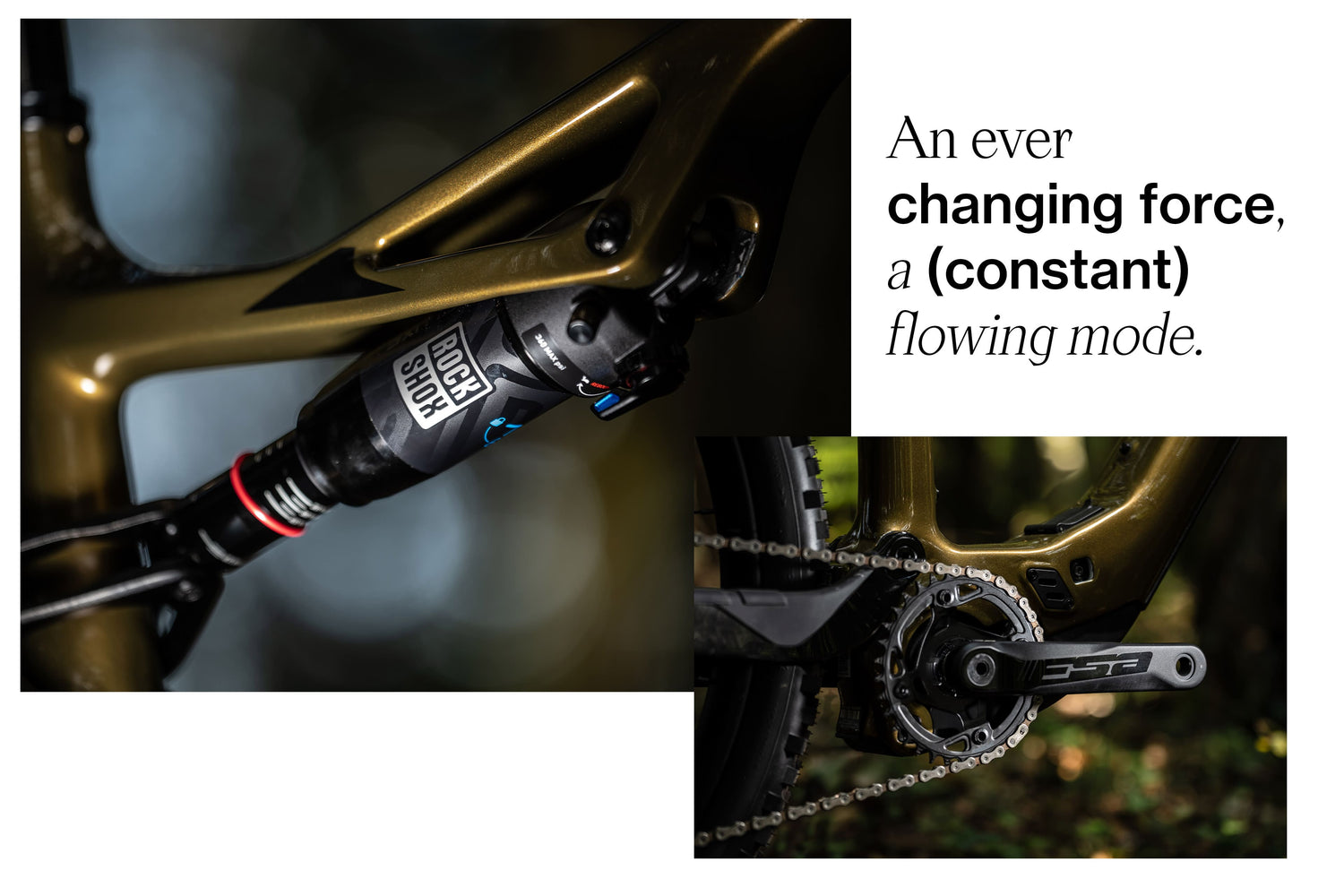 (New) Kaizen LTD – MMR Bikes